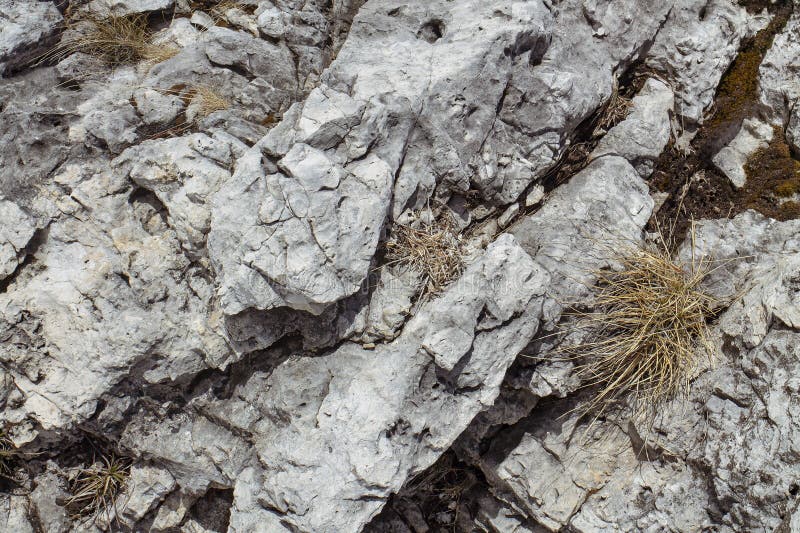 Mining Cliff Rough Surface. Coarse Limestone Quarry Backdrop. Stock ...