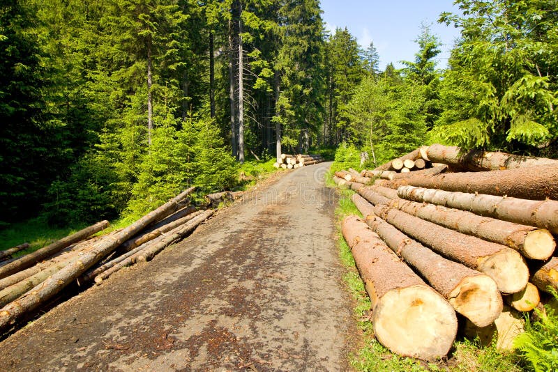 Mining in forest stock image. Image of forest, path, forestry - 56078939