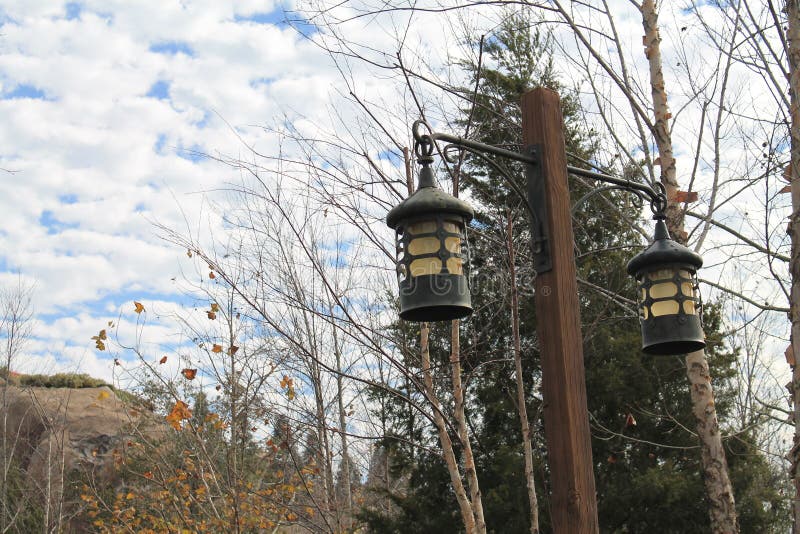 334 Lamp Post Texture Tree Photos - Free & Royalty-Free Stock Photos ...