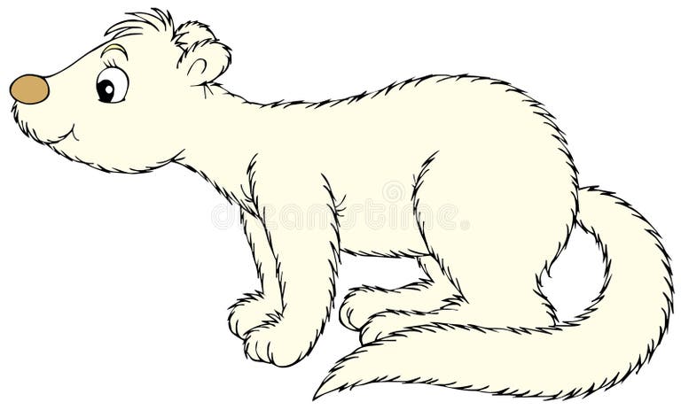 Mink Cartoon Stock Illustrations – 845 Mink Cartoon Stock Illustrations ...
