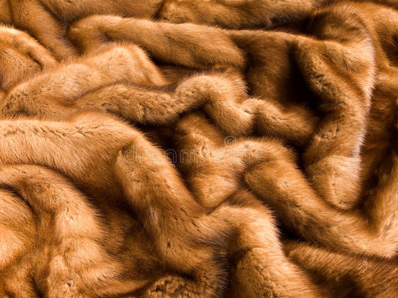 Mink fur stock photo. Image of closeup, jacket, nature - 12046228