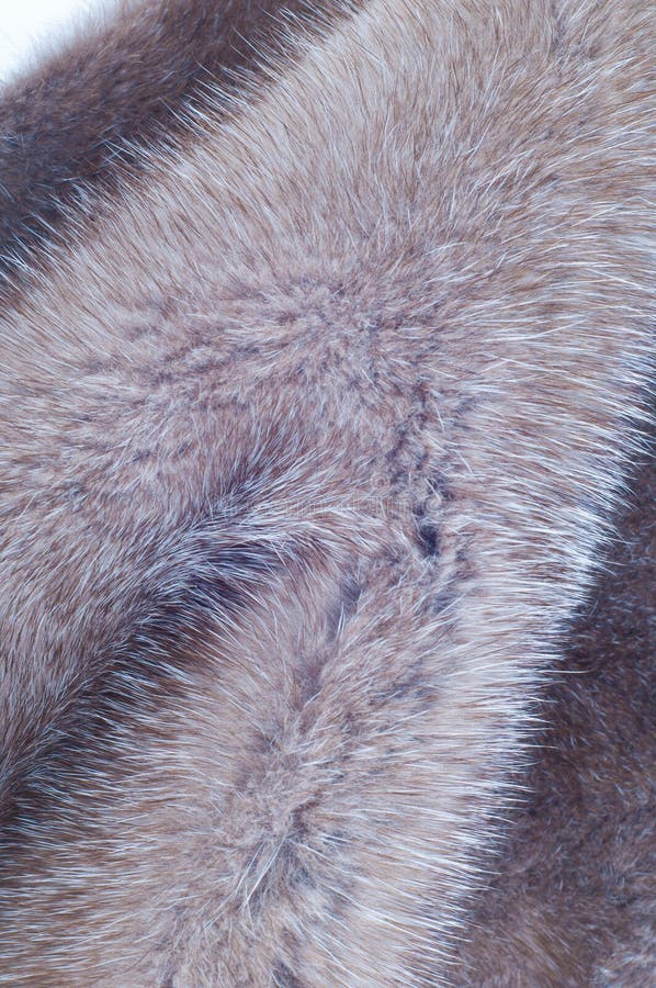 Mink fur texture stock photo. Image of pattern, natural - 122911060