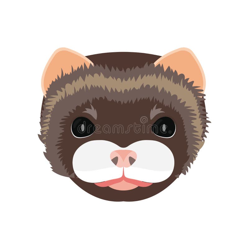 Mink Muzzle in Flat Style. Mink Isolated on a White Background. Vector ...