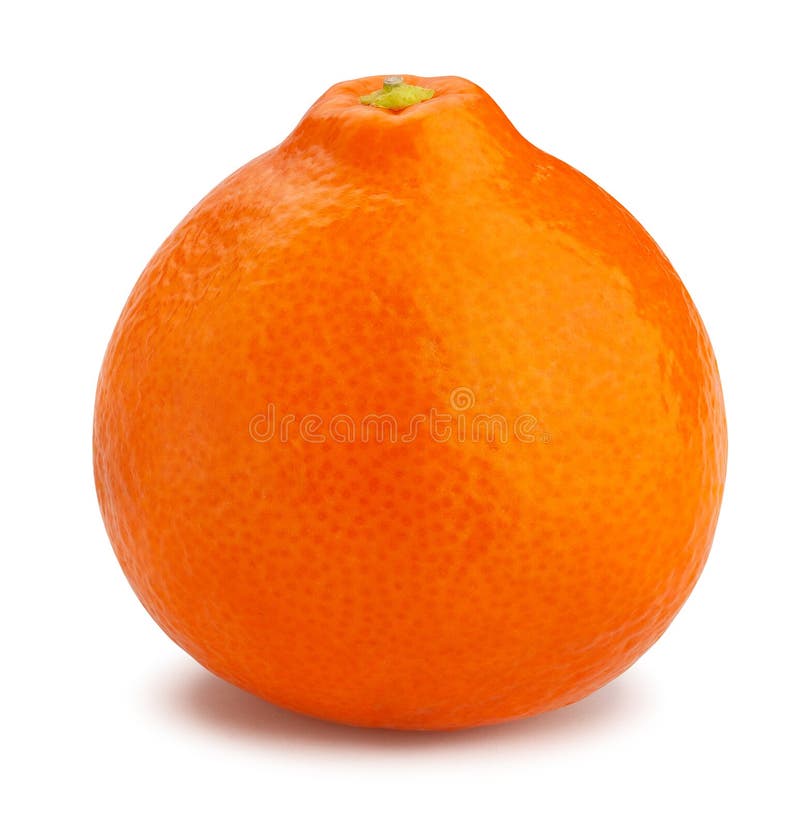 Minneola tangelo tangerine foto de archivo. Imagen de fondo - 230456622