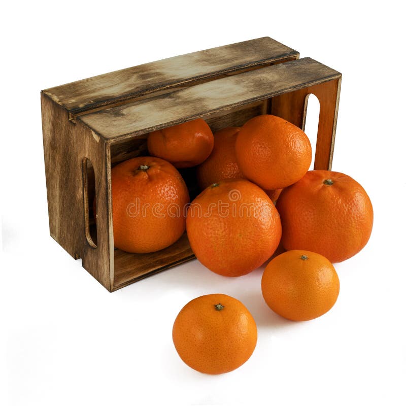 Minneolas and Tangerines Rolling Out of Wooden Box, Isolated on White ...