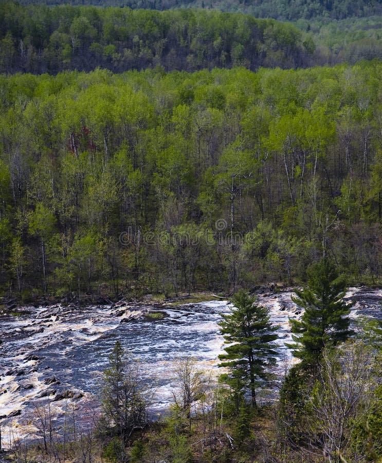 Minnesota Spring Impressionism Stock Image - Image of rapid, tree: 9737495