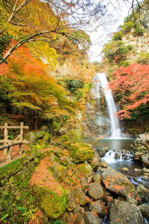 Minoh Waterfall stock photo. Image of season, fall, forest - 42939876