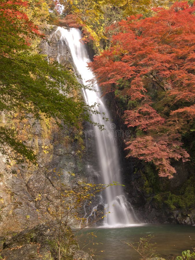 Minoh waterfall in autumn stock image. Image of autumn - 26346857