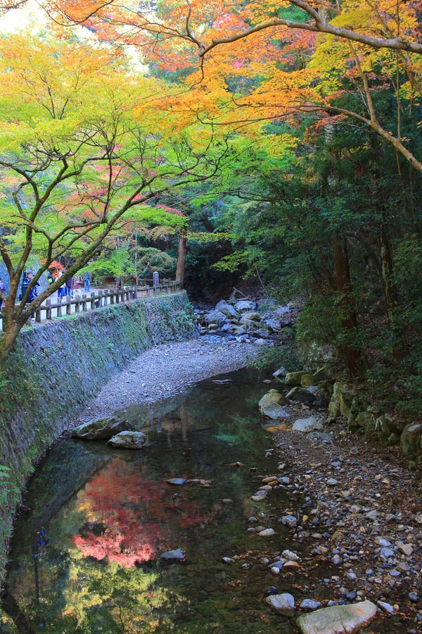 Minoh Waterfall in Autumn, Osaka, Japan Stock Image - Image of river ...