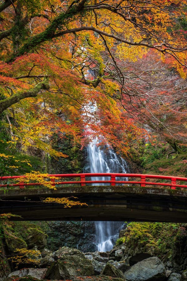 Minoo Waterfall with Red Bridge in Autumn, Minoo Park Osaka, Japan ...