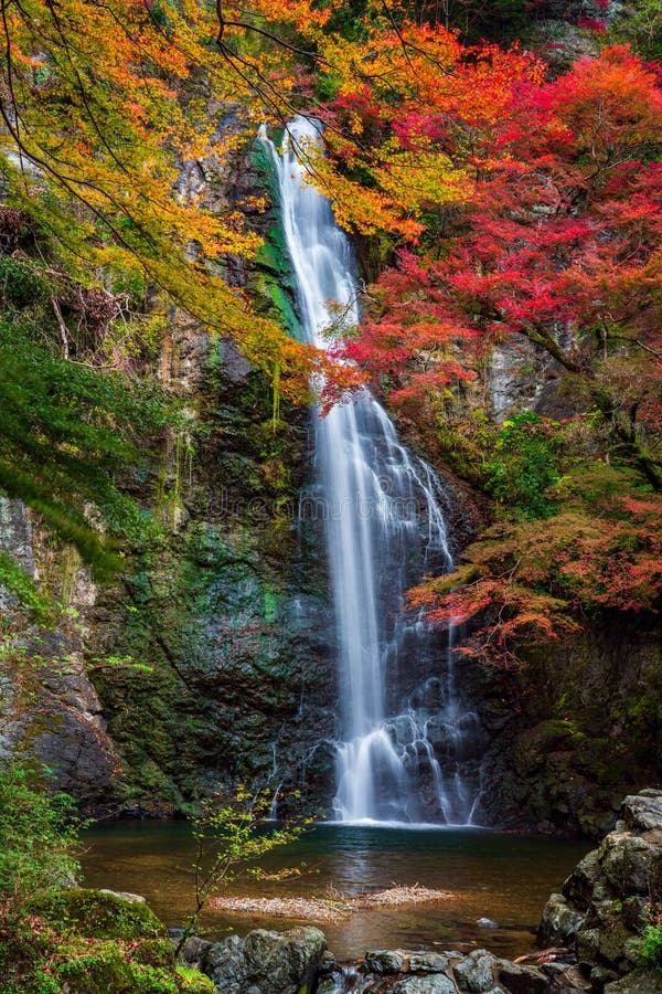 Minoo Waterfall with Red Bridge in Autumn, Minoo Park, Japan Stock ...
