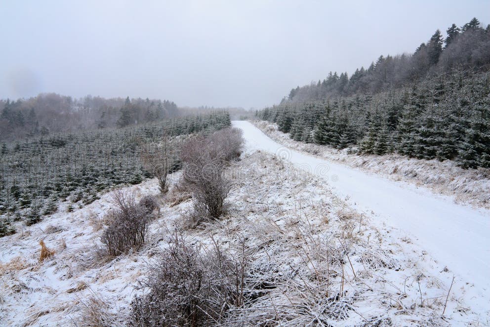 Minor Road Covered with Heavy Snow Stock Photo - Image of country, road ...
