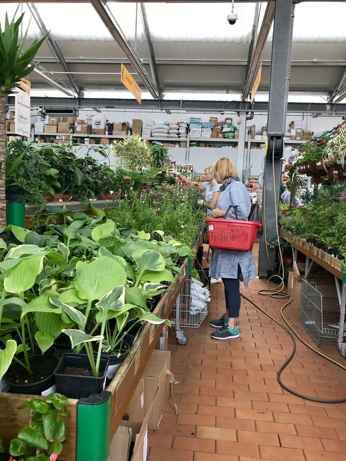 Shopping Center, Selling Flowers and Gardening Equipment. Beautifully ... Shopping Center, Selling Flowers and Gardening Equipment. Beautifully ...