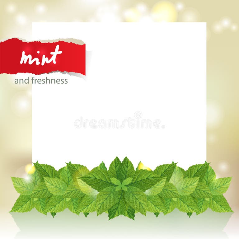 Mint Leaf Border Stock Illustrations – 3,943 Mint Leaf Border Stock ...