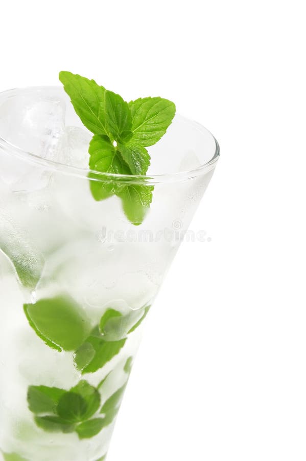 Mint stock image. Image of twig, ingredient, closeup, freshness - 6590147