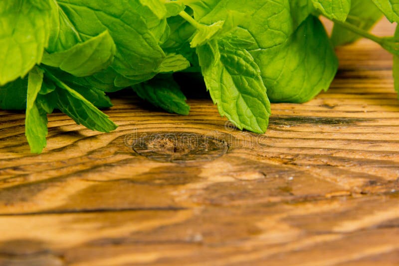 Mint abstract stock image. Image of healthy, mint, agriculture - 51738037
