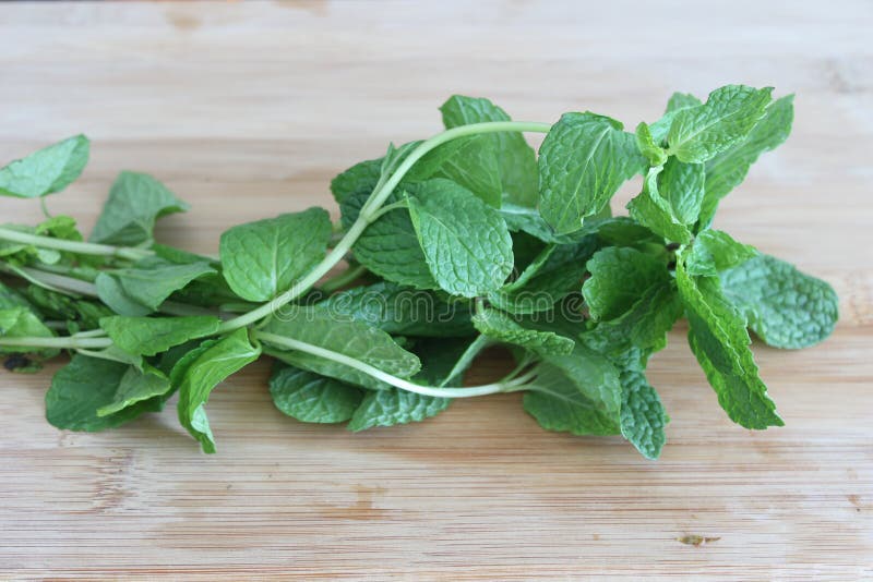 Mint stock image. Image of freshner, stimulant, mint - 49647249