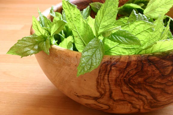 Mint bowl stock image. Image of leaves, olivewood, kitchen - 1362443