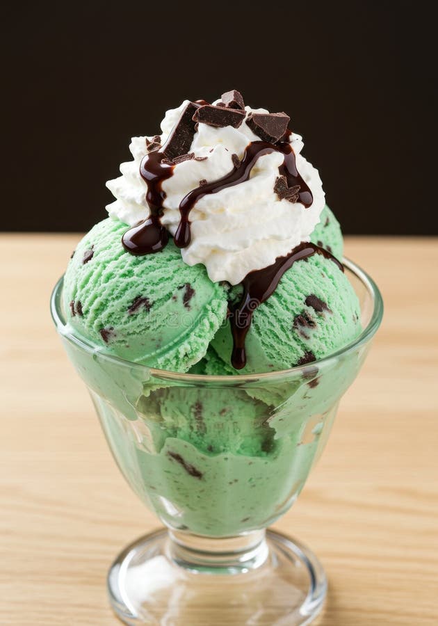 Mint Chocolate Chip Ice Cream Sundae with Whipped Cream and Chocolate ...