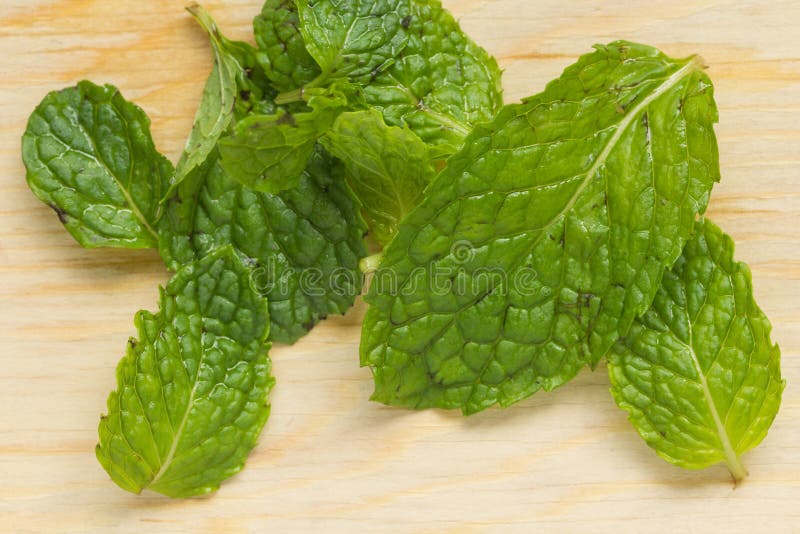 Mint for cook stock photo. Image of chopping, texture - 66831198