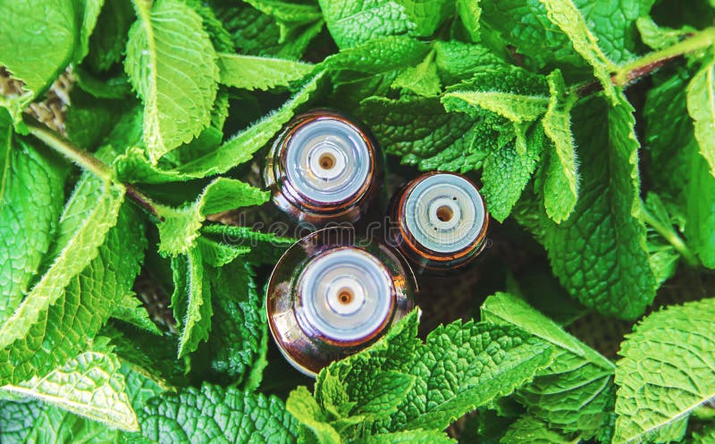 The Mint Extract in a Small Jar. Stock Image - Image of peppermint ...
