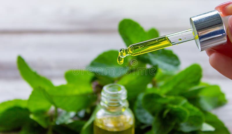 The Mint Extract in a Small Jar Stock Photo - Image of fresh ...