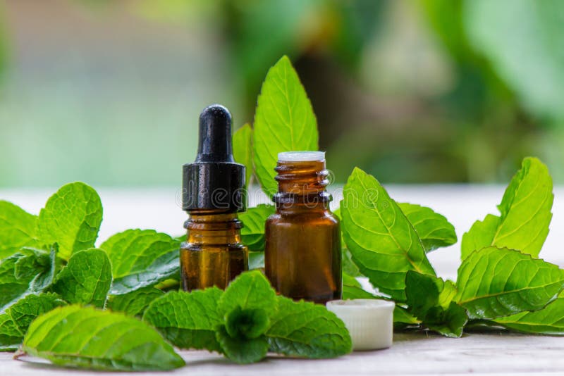 The Mint Extract in a Small Jar Stock Image - Image of healthy ...