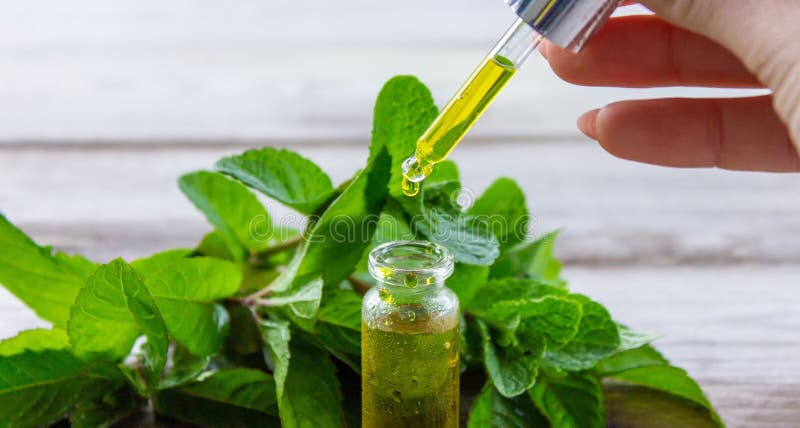 The Mint Extract in a Small Jar Stock Photo - Image of herbal, healthy ...