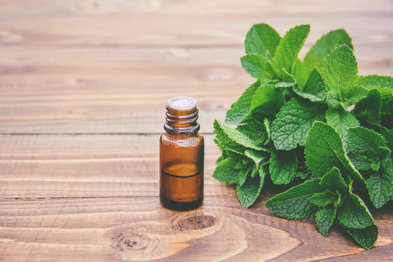 The Mint Extract in a Small Jar. Selective Focus Stock Image - Image of ...