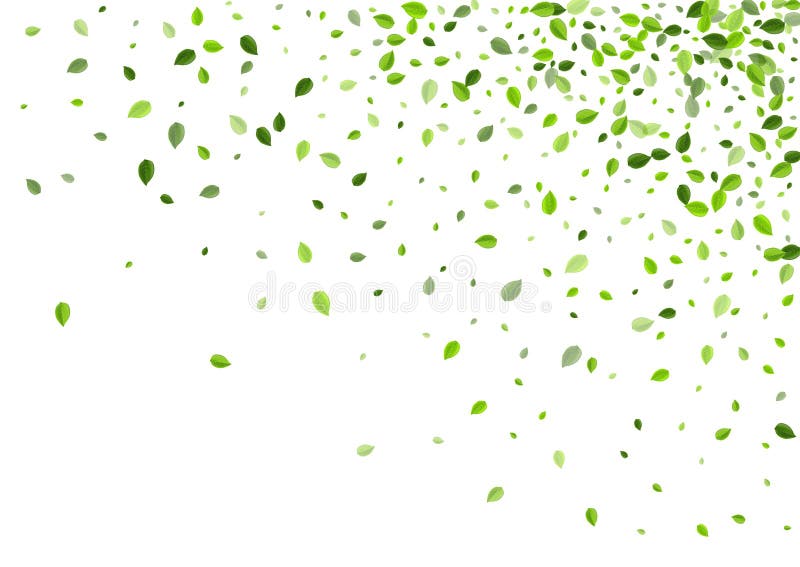 Mint Foliage Falling Vector Brochure. Blur Leaf Stock Vector ...