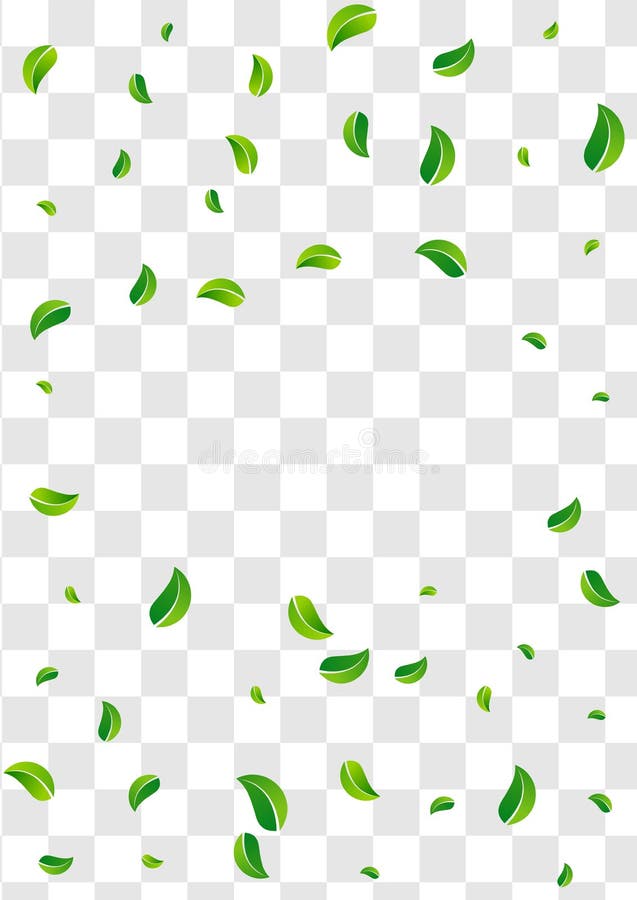 Mint Foliage Falling Vector Transparent Stock Vector - Illustration of ...