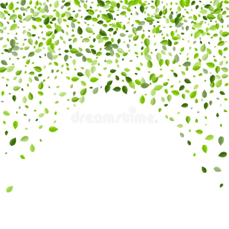 Mint Foliage Transparent Vector Concept. Falling Stock Vector ...