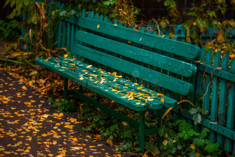 Mint Green Autumn Bench with Yellow Birch Leaves at Evening Stock Image ...