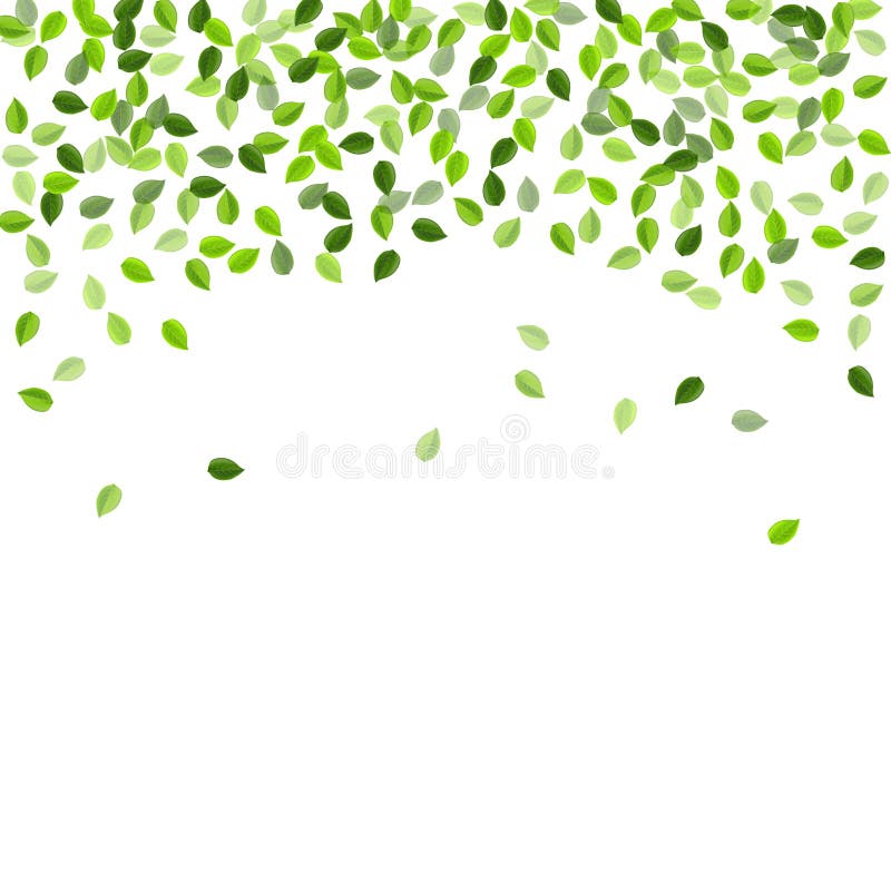 Mint Greens Flying Vector Background. Motion Leaf Stock Vector ...