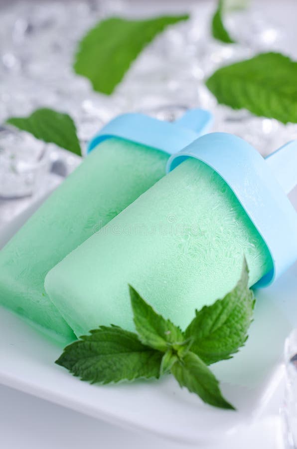Mint ice cream stock photo. Image of plate, frost, mint - 42027816