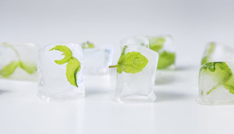Mint in ice cubes on white stock photo. Image of leaf - 55335982