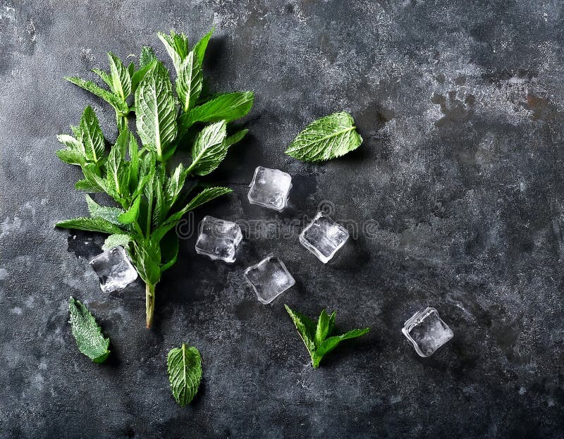 Mint and Ice on Stone Table: Top View with Copy Space Stock ...