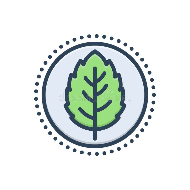 Color Illustration Icon for Mint, Peppermint and Mentha Stock ...