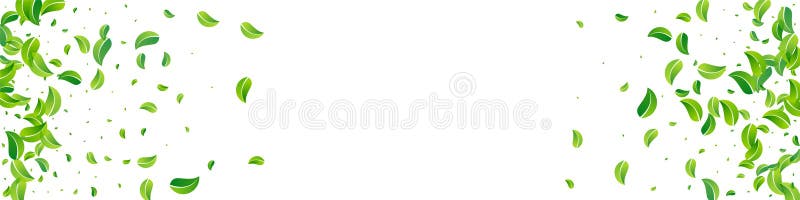 Mint Leaf Forest Vector Panoramic White Stock Vector - Illustration of ...