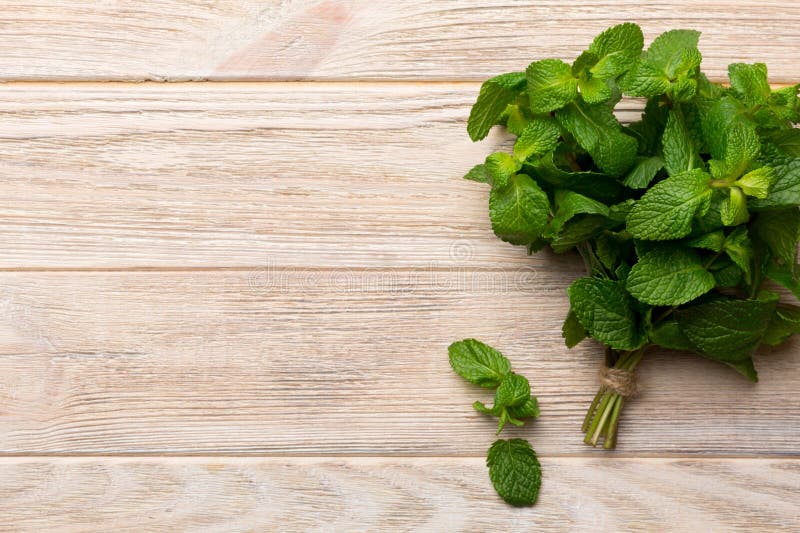 Mint Leaf. Fresh Mint on Colored Background Stock Image - Image of ...