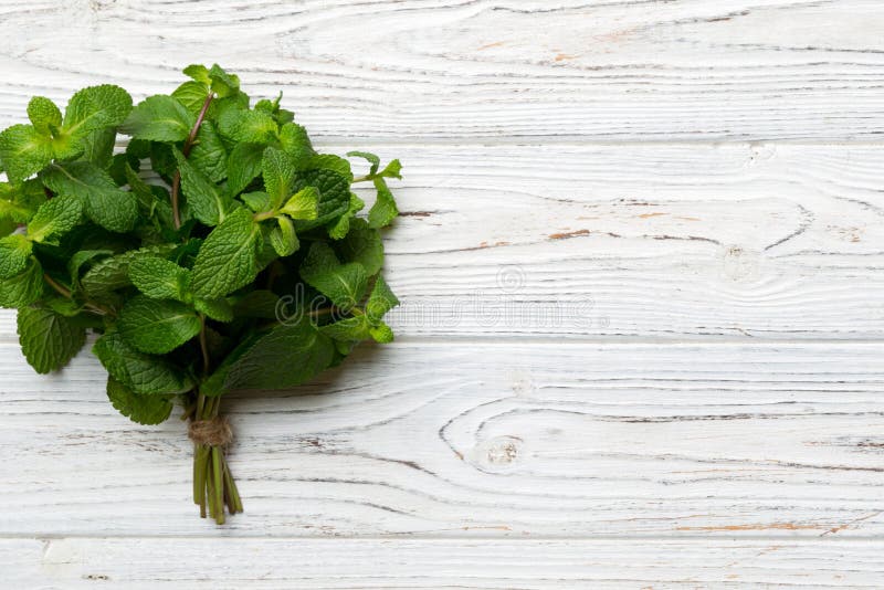 Mint Leaf. Fresh Mint on Colored Background Stock Image - Image of ...