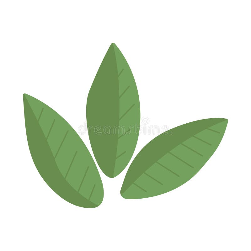 Mint Leaf Green Vector Illustration Set. Mint Logo Vector Stock Vector ...