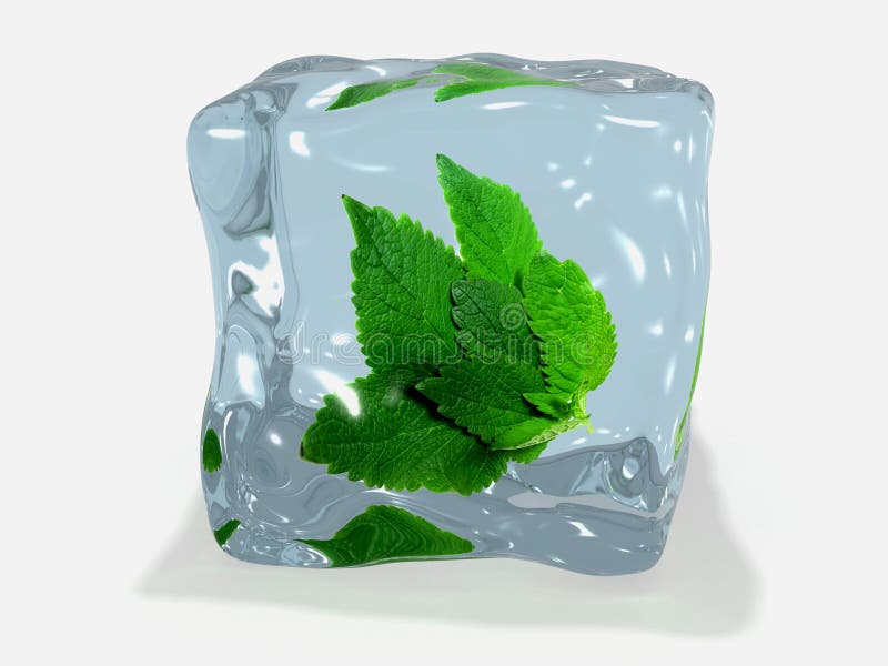 Mint leaf in ice stock image. Image of melting, aroma - 45537787