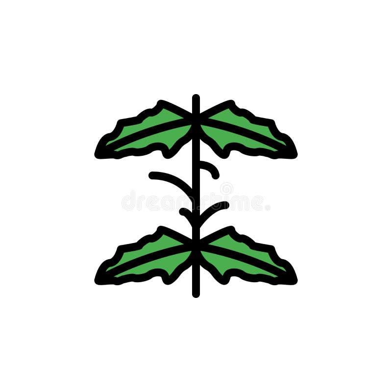 Mint Leaf Icon. Simple Color with Outline Vector Elements of Healing ...