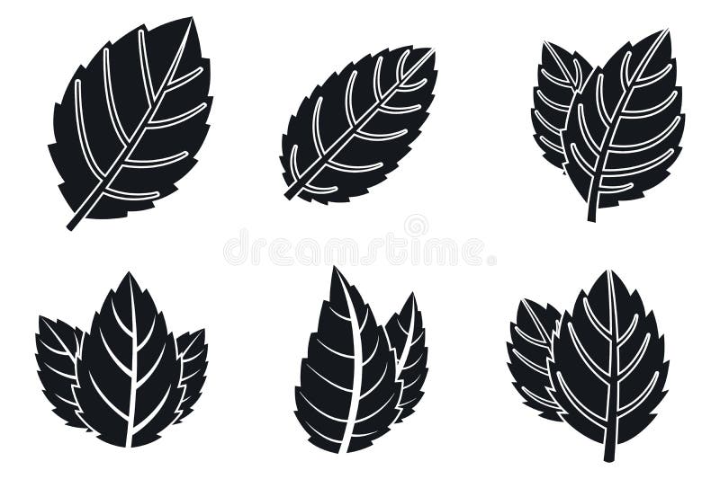 Botanical Nettle Stock Illustrations – 796 Botanical Nettle Stock ...