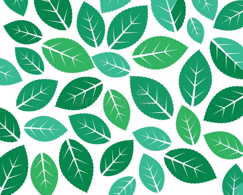 Mint Leaf Illustration Vector Template Stock Vector - Illustration of ...