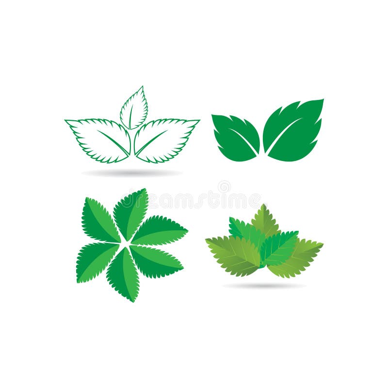 Mint leaf logo stock vector. Illustration of flat, mint - 172446460