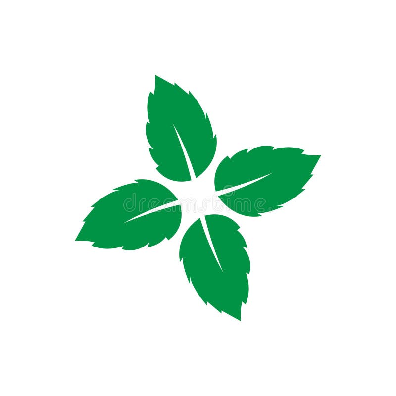 Mint Leaf Logo Vector Template Symbol Design Stock Vector ...