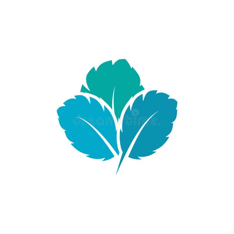 Mint Leaf Logo Vector Template Symbol Design Stock Vector ...