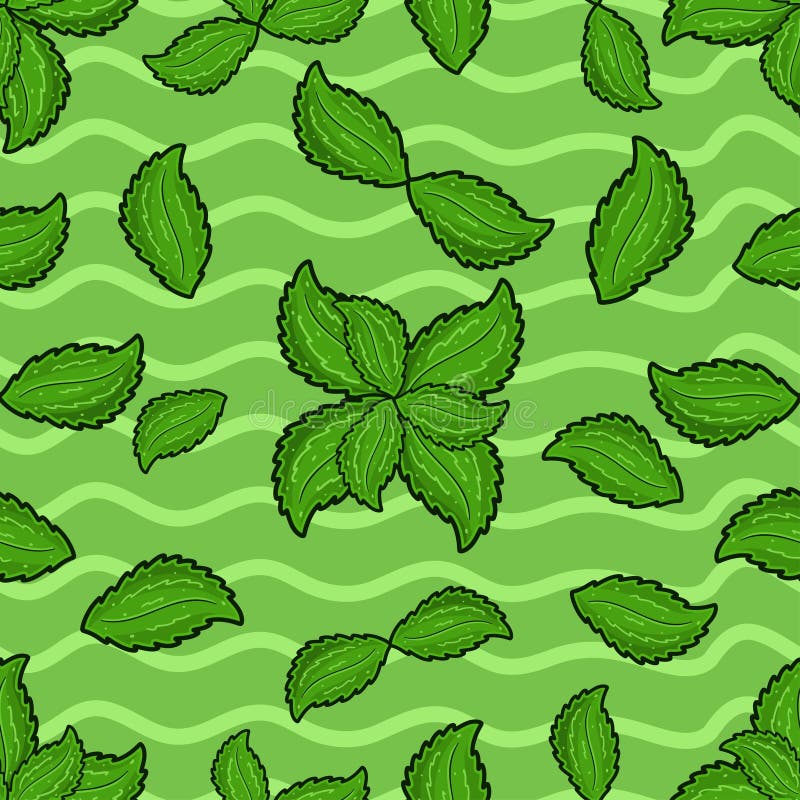 Cartoon Mint Leaf Stock Illustrations – 4,921 Cartoon Mint Leaf Stock ...